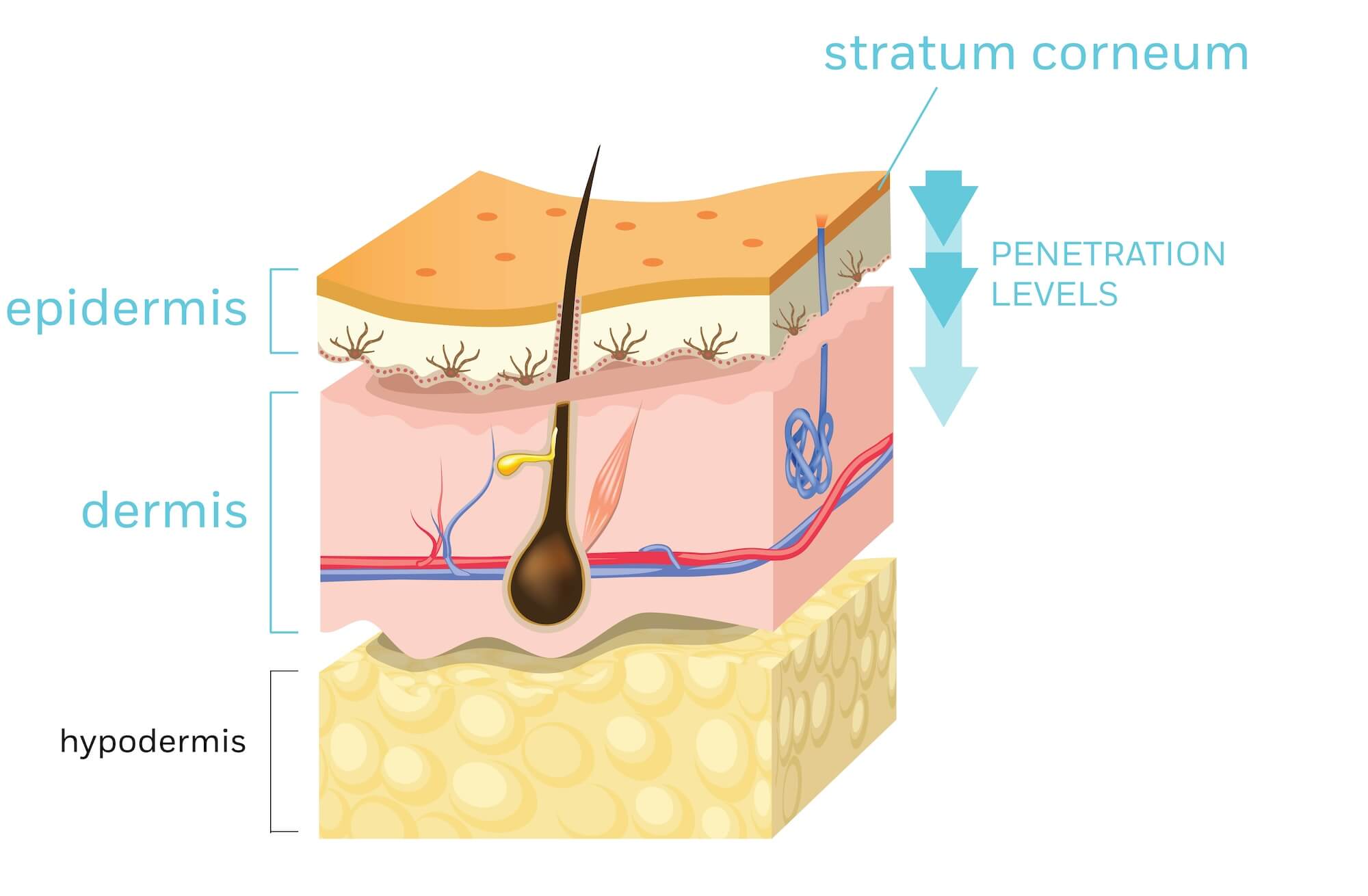 Professional Treatments - Dermaquest